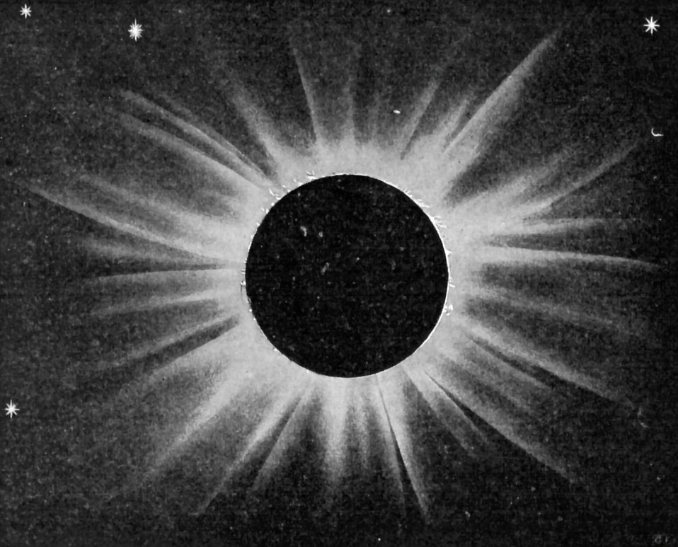 Eclipse | Golden Rabbit & The Horseman